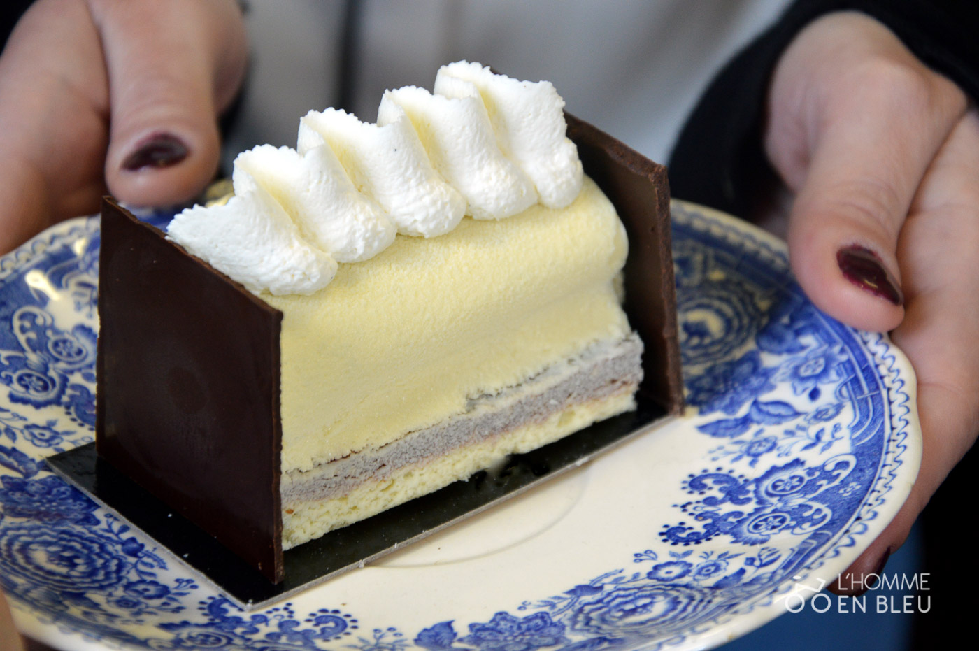 Qui a la plus grosse bûche de Noël ? - L'Homme en Bleu