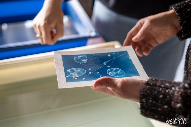 Atelier cyanotype avec "Les Mains Bleues" - L'Homme en Bleu